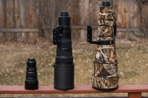 8 Best Lens for Wildlife Photography - Outdoor Optics Gear