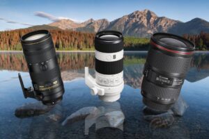 8 Best Lens for Wildlife Photography - Outdoor Optics Gear
