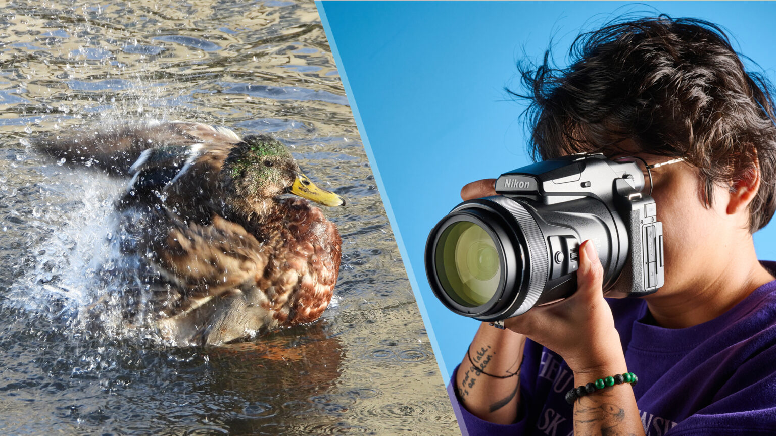 8 Best Camera for Wildlife Photography - Outdoor Optics Gear