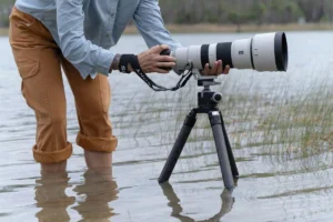 8 Best Camera for Wildlife Photography - Outdoor Optics Gear