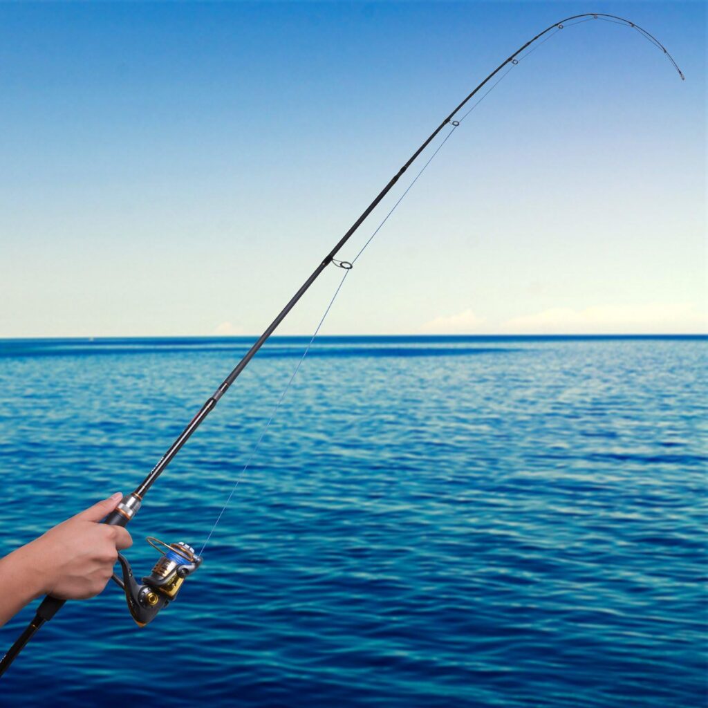 6 Best Fishing Rods - Outdoor Optics Gear